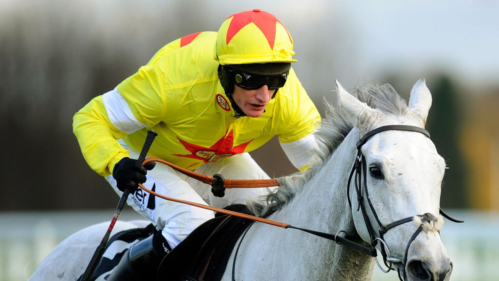 Al Ferof could bypass the Betfair Denman Chase at Newbury | Racing News ... Al Ferof could bypass the Betfair Denman Chase at Newbury | Racing News ...