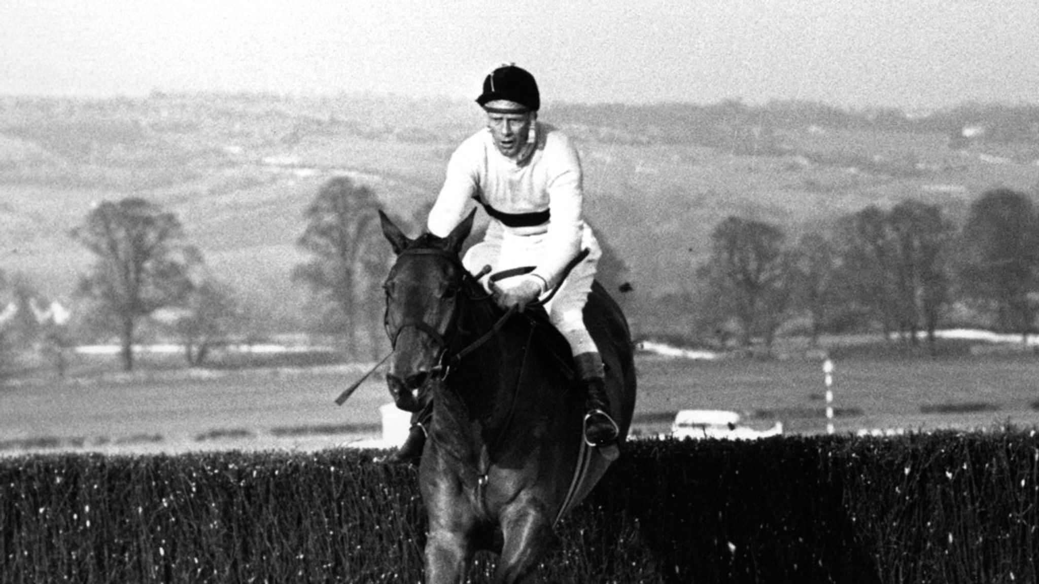 Bangor auction bronze maquette of Arkle for Addington Fund charity ...