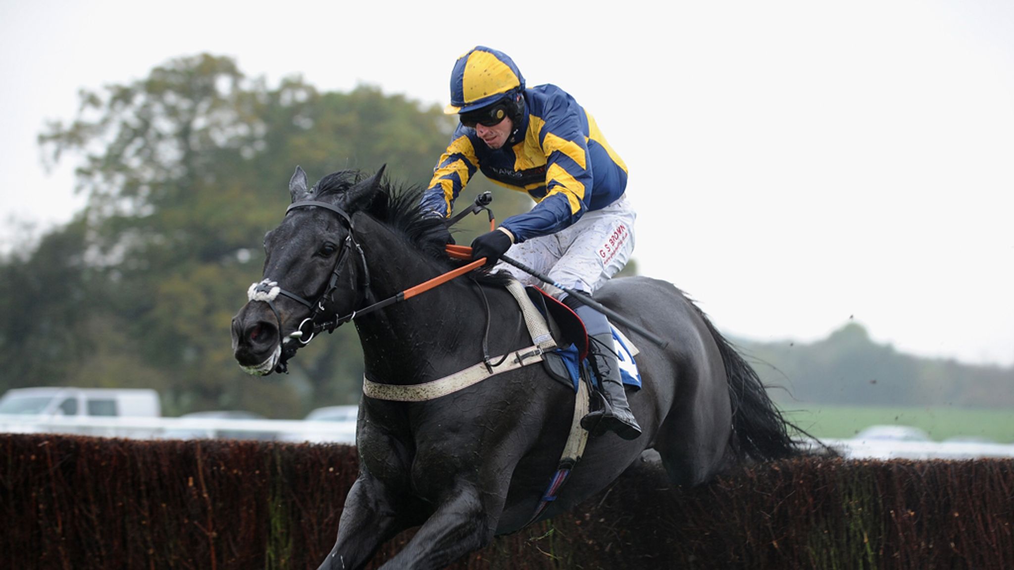 Mendip Express may head to Newbury before Cheltenham Festival | Racing ...