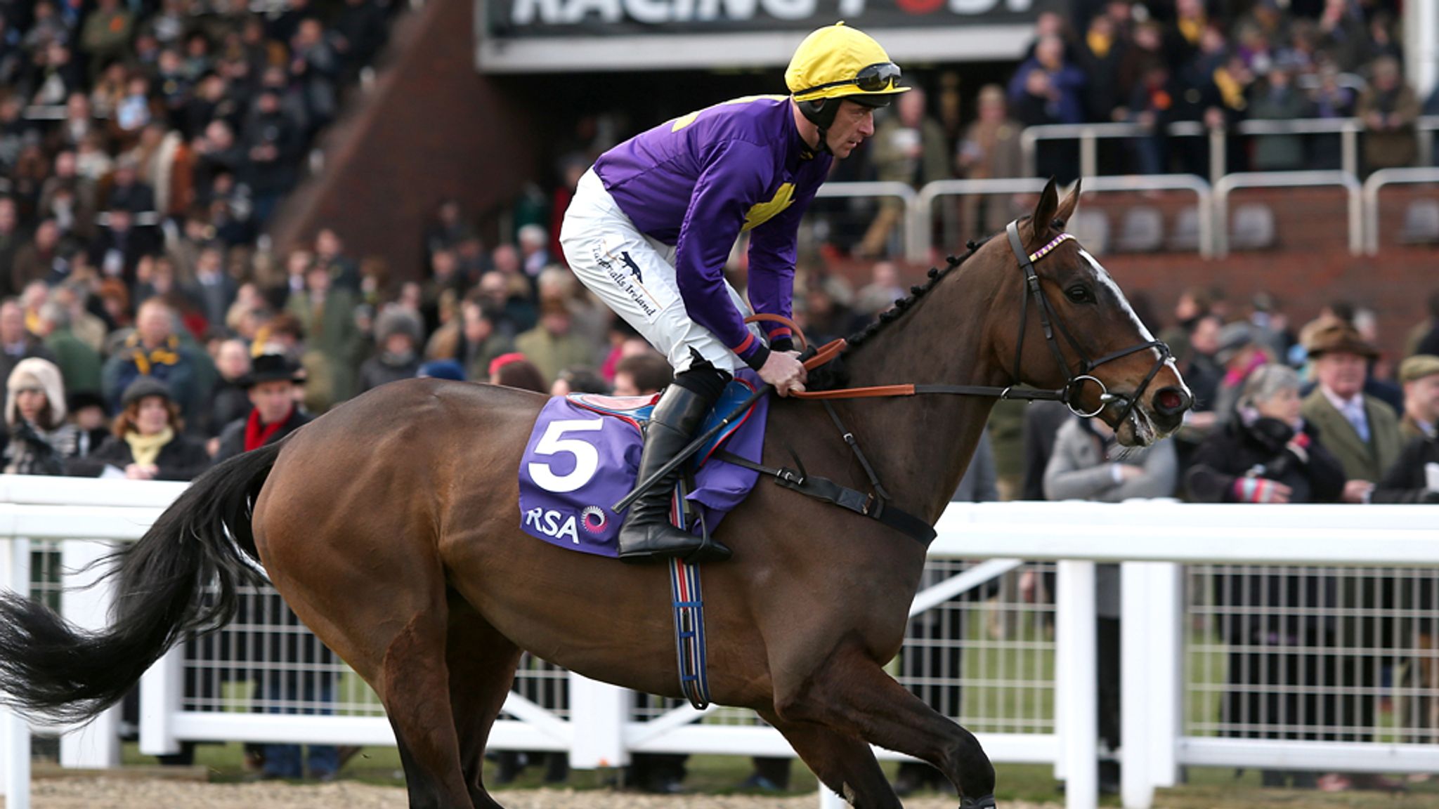 Lord Windermere set for Cheltenham Gold Cup | Racing News | Sky Sports