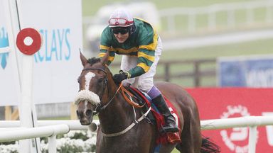 'Star' Cee Bee retired by Harty | Racing News | Sky Sports
