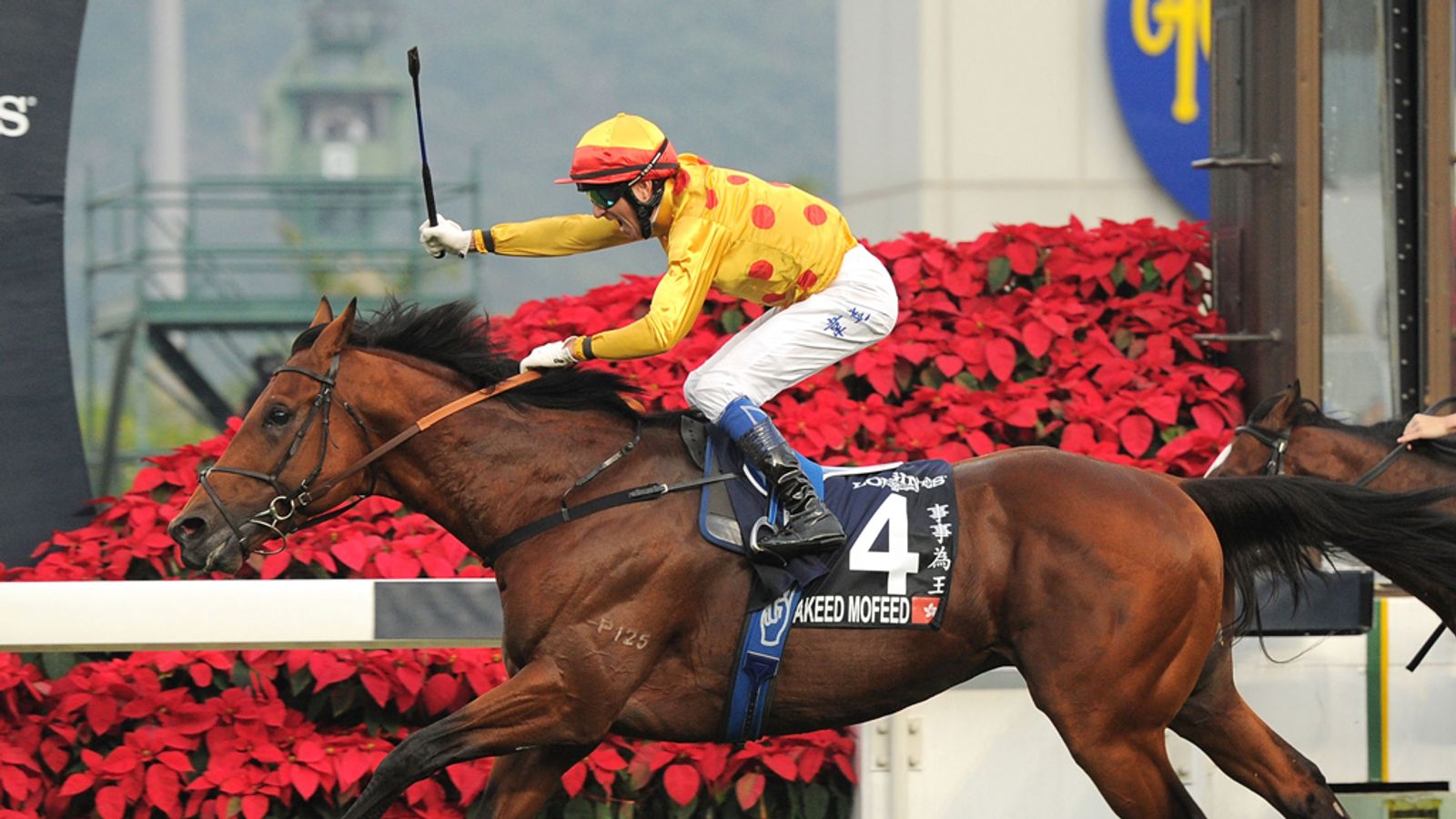Hong Kong stars prepare for Dubai World Cup night | Racing News | Sky ...