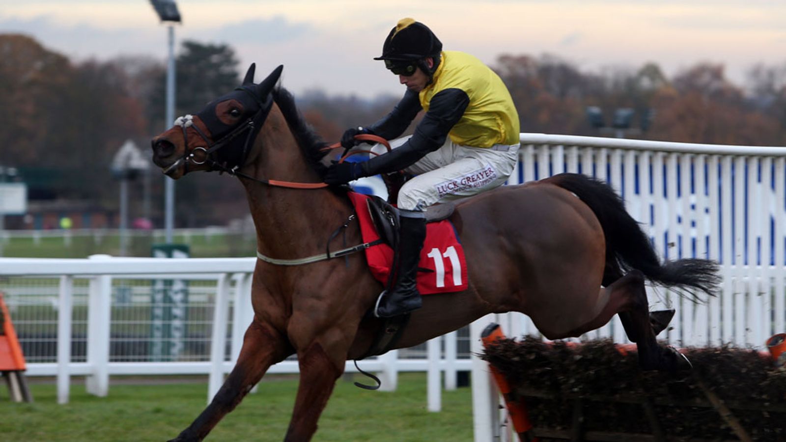 Horse Racing: Ben Case retains Deep Trouble faith | Racing News | Sky ...