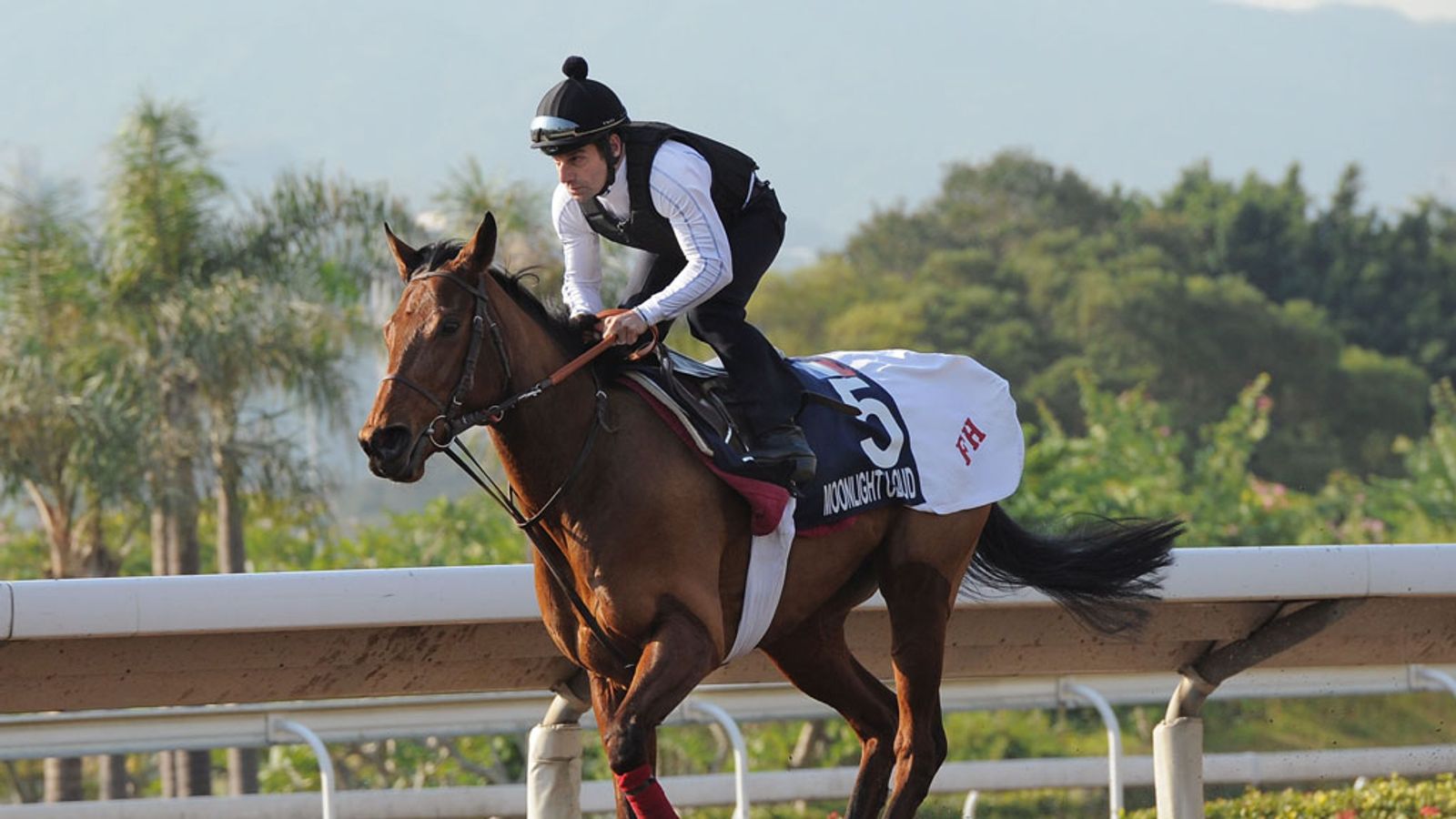 Mark Popham's guide to the big race in Hong Kong on Sunday | Racing ...
