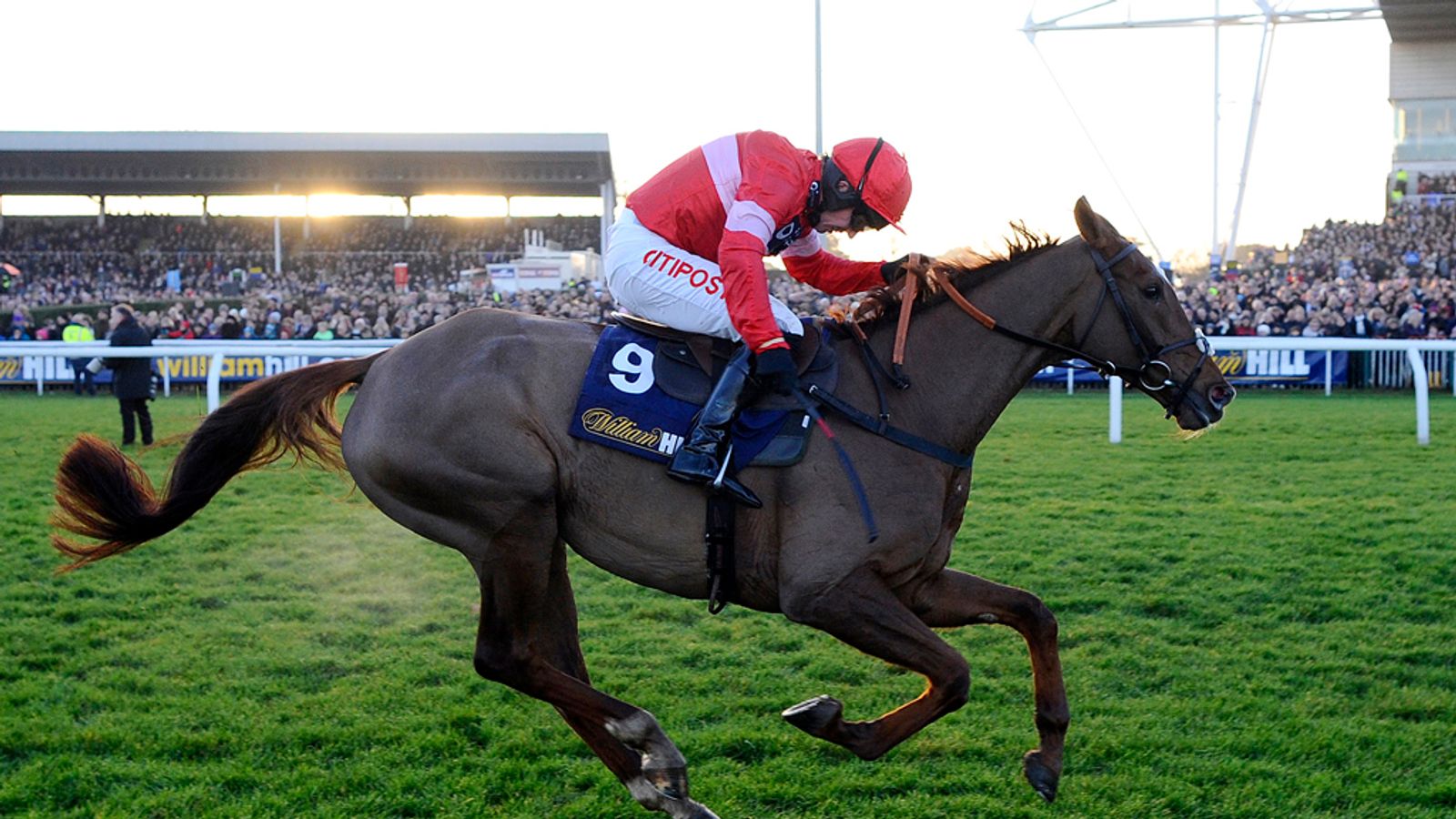 Graham Cunningham's 20 Cheltenham Festival Questions | Racing News ...