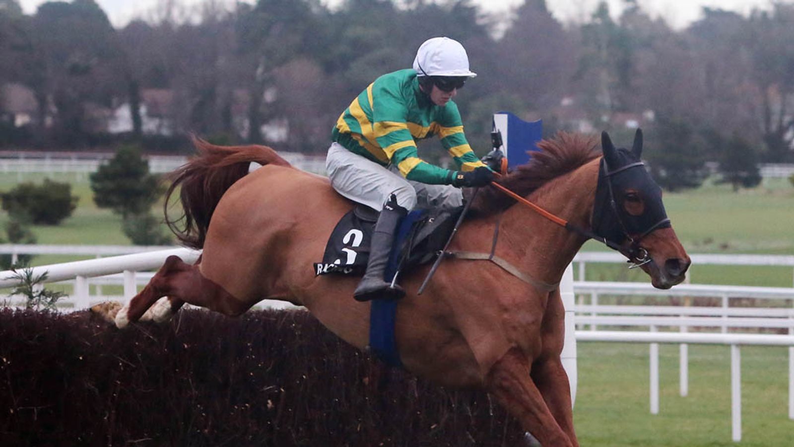 Irish Arkle makes sense for Defy Logic | Racing News | Sky Sports