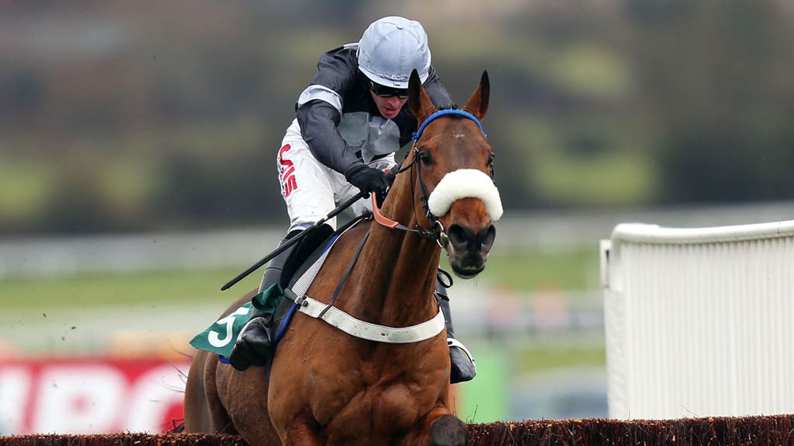 Alex Hammond racing column: Super bet in Grimthorpe | Racing News | Sky ...