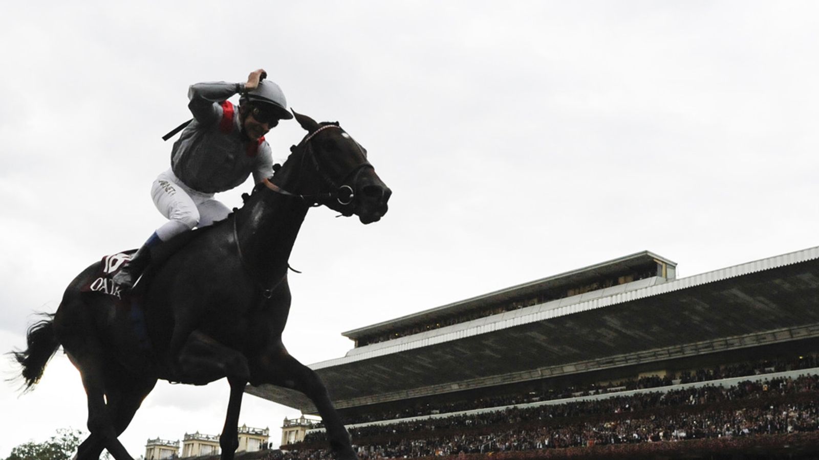 Head-Maarek - Arc heroine Treve even stronger ahead of return | Racing ...