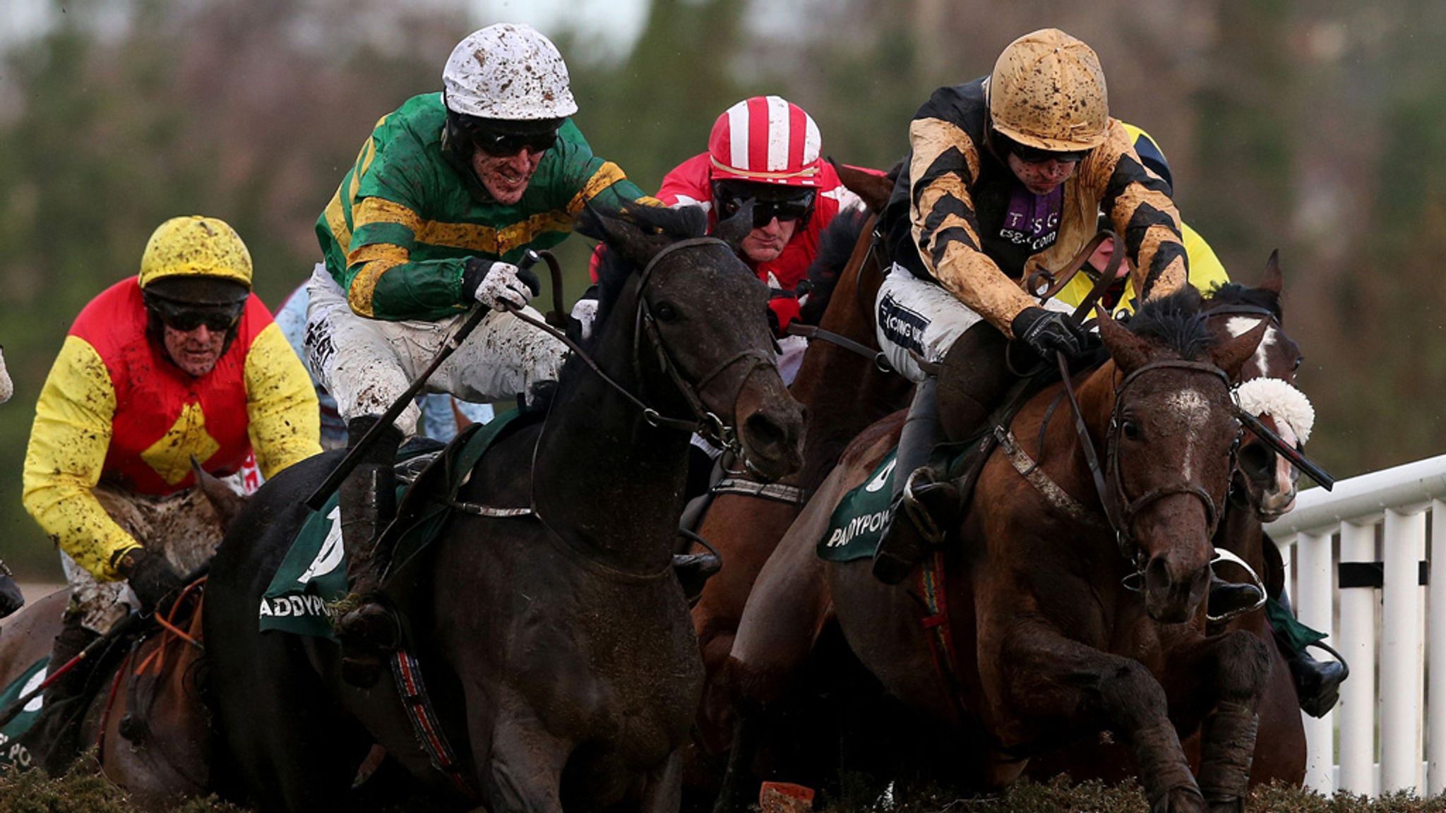 Triumph Hurdle contender Plinth set for Leopardstown | Racing News ...