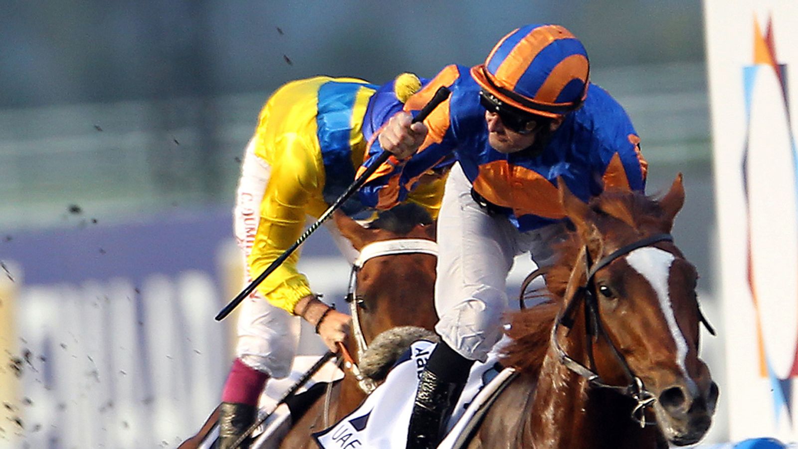Daddy Long Legs with no shoes at Meydan | Racing News | Sky Sports