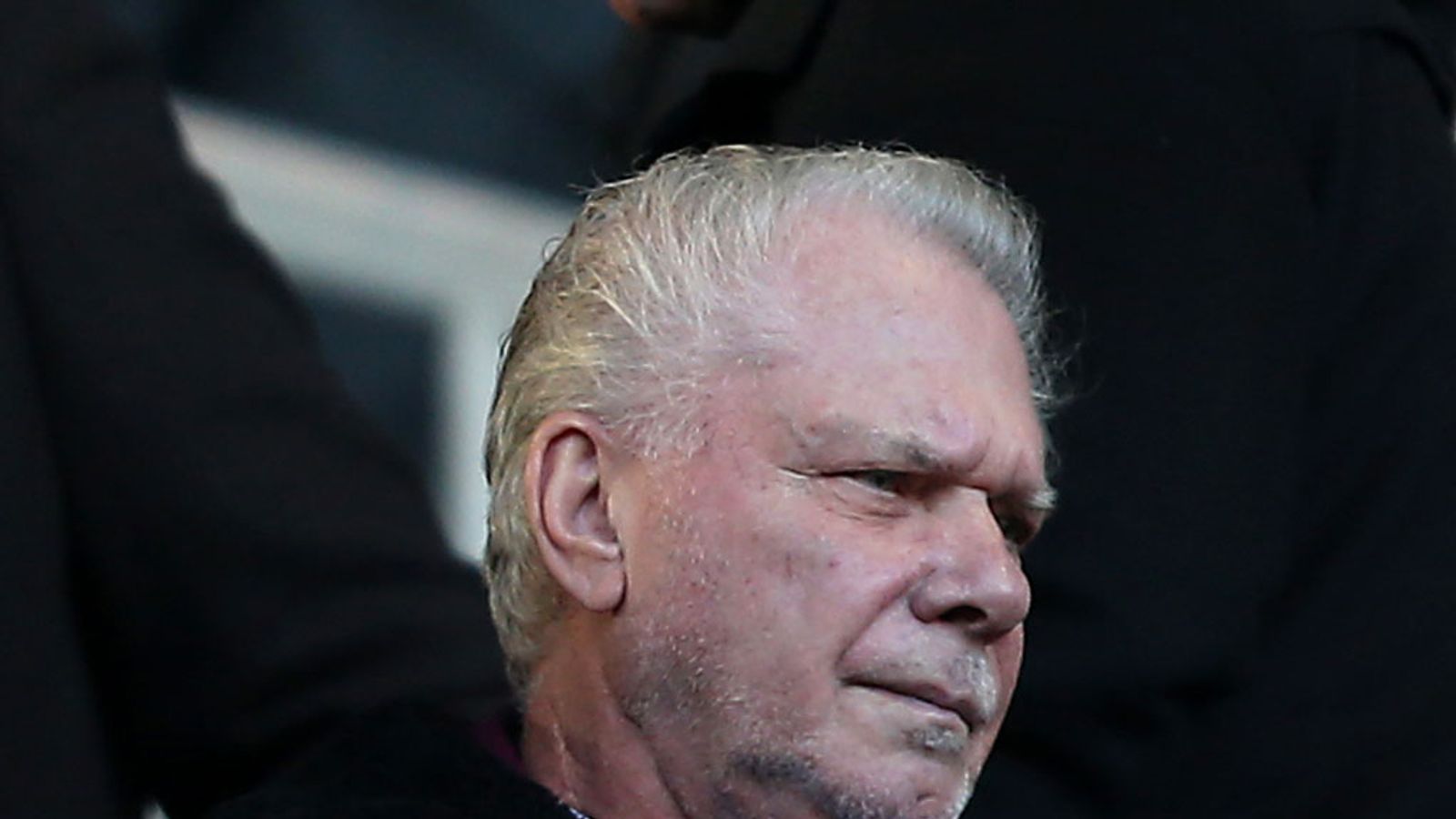 Sam Allardyce backed by West Ham owners David Gold and David Sullivan ...