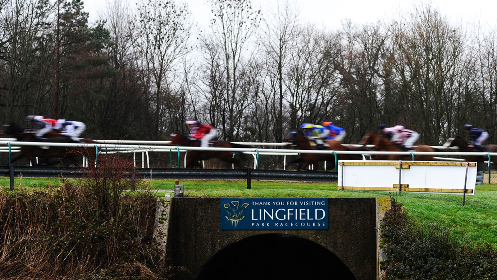 Mr Burbidge will bid for an incredible six-timer | Racing News | Sky Sports