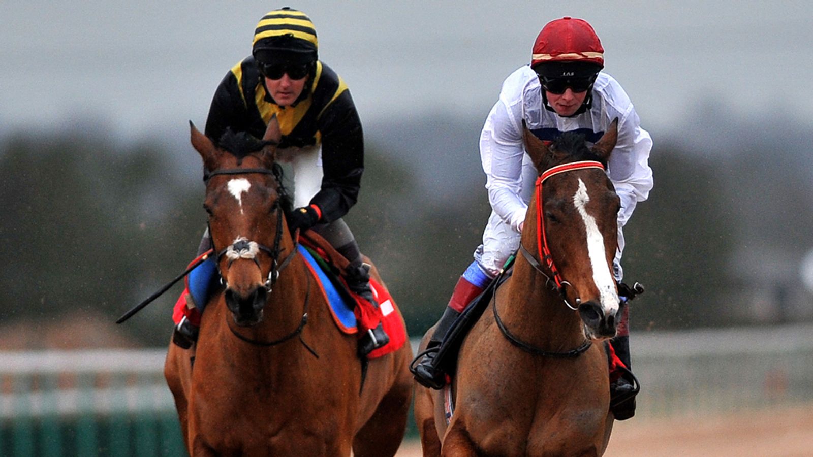 Stand Guard gallops into record books with 25th all-weather victory ...