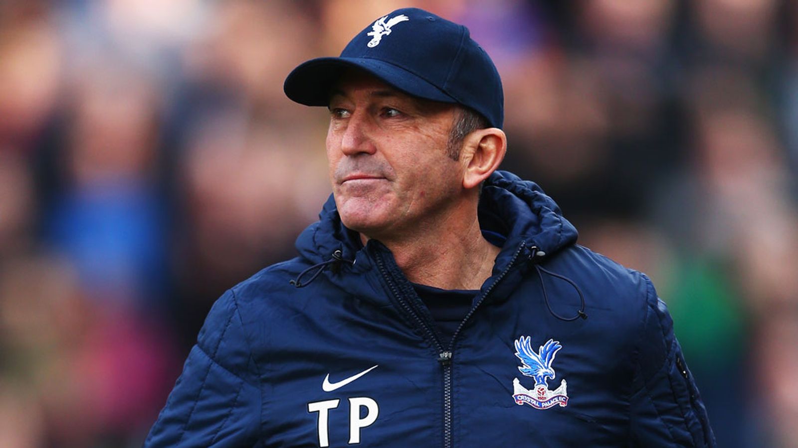 Crystal Palace boss Tony Pulis believes David Moyes will be a success ...