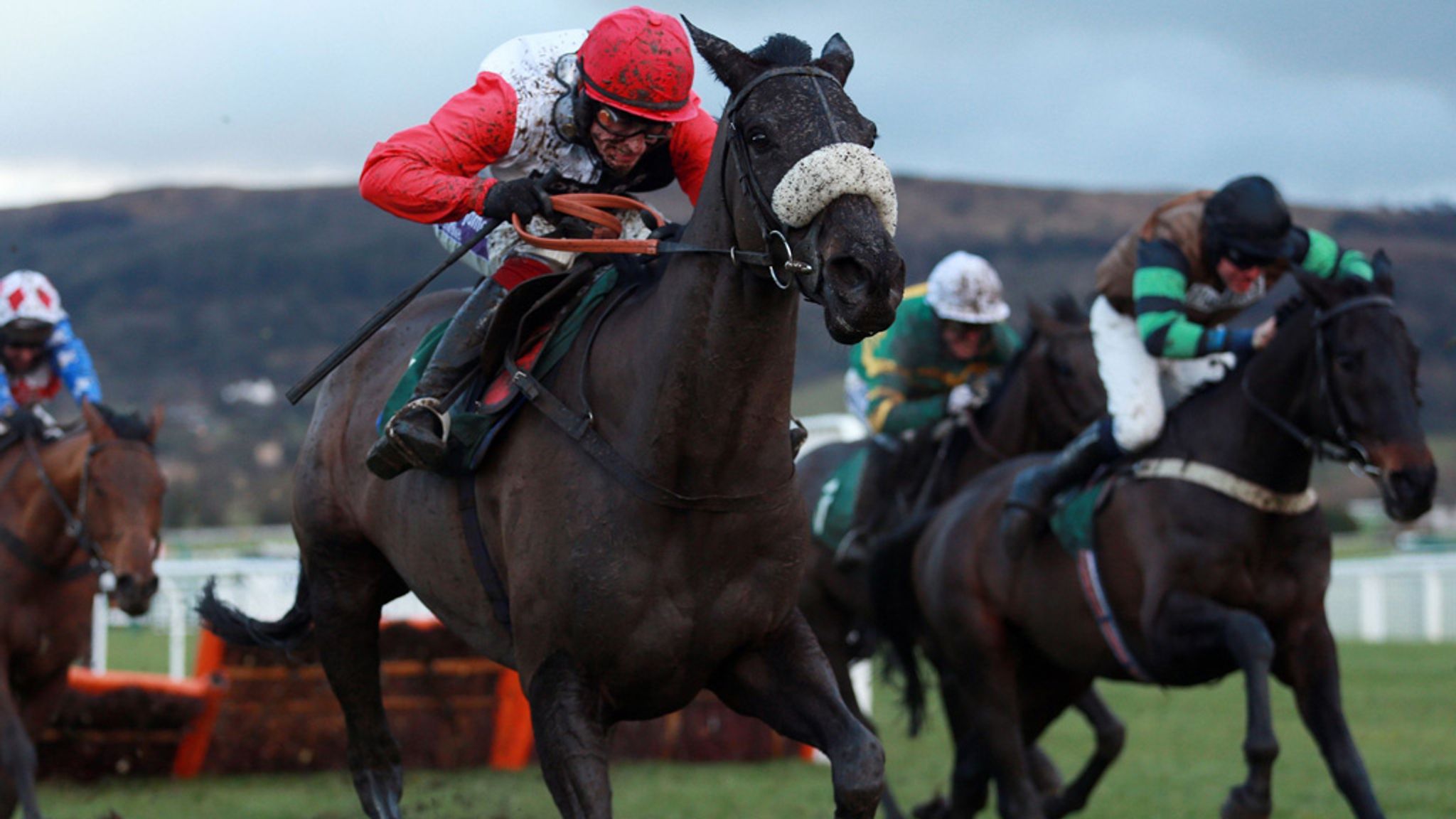 Paul Nicholls will step up the work regime of Big Buck's | Racing News ...