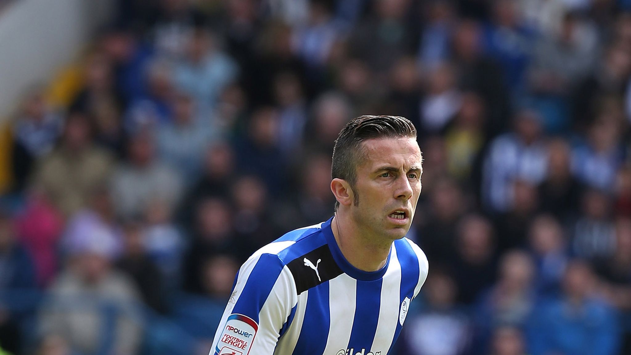 Sheffield Wednesday midfielder David Prutton sets March target for ...