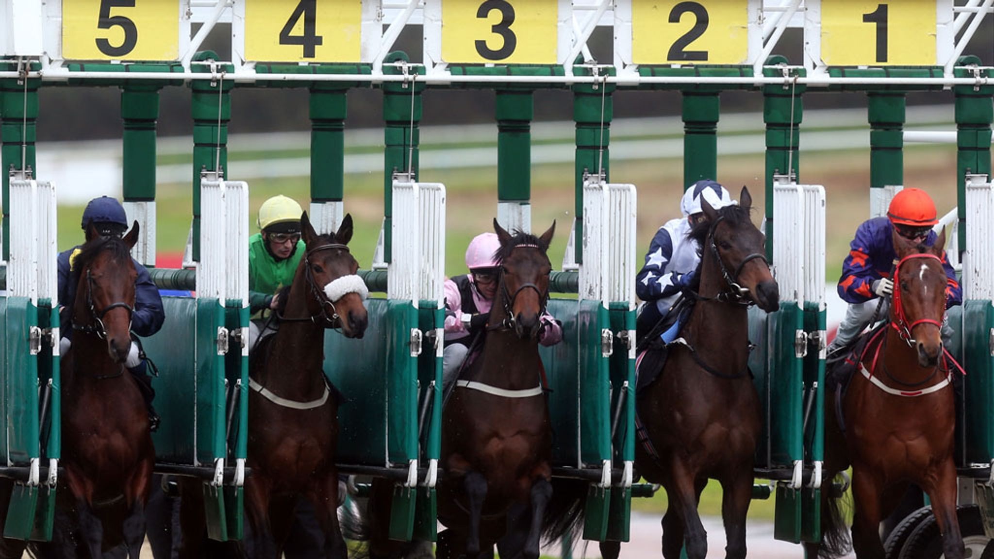 Huge multiple gamble landed | Racing News | Sky Sports