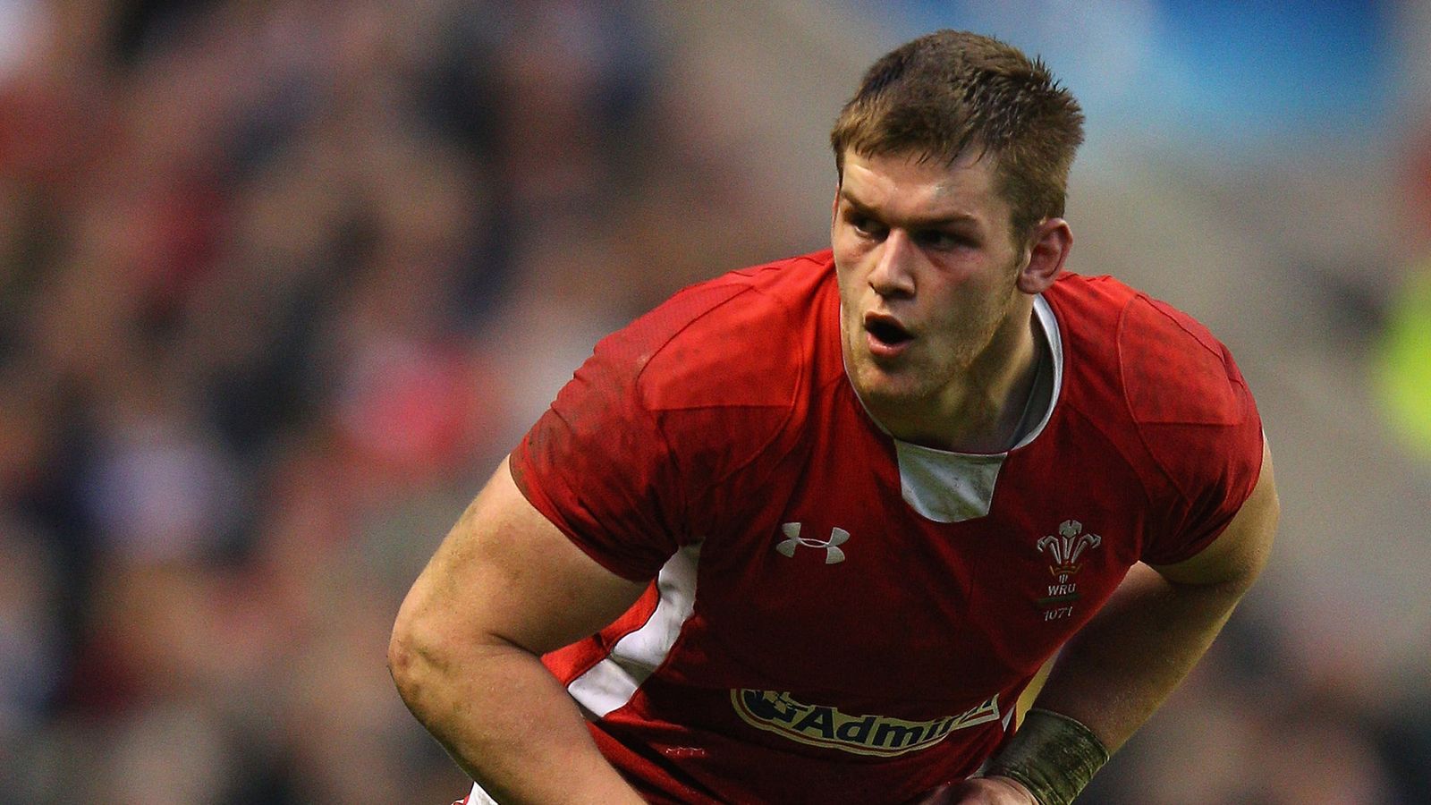 Wales prepare for first Test against South Africa with Eastern Kings ...