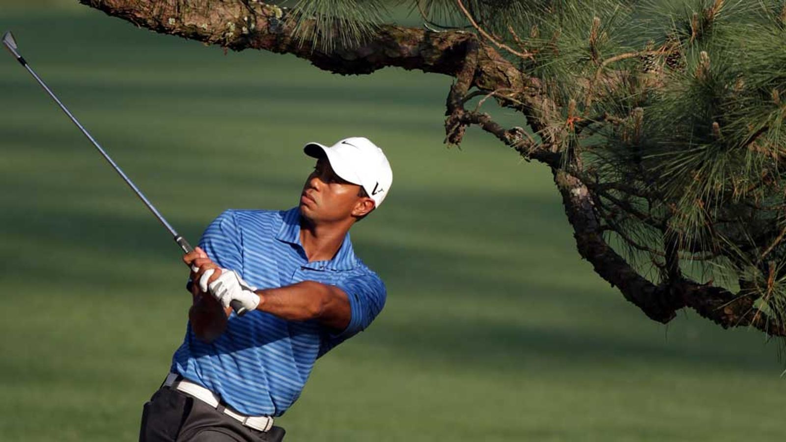 Augusta National confirm the Eisenhower Tree has been removed | Golf ...