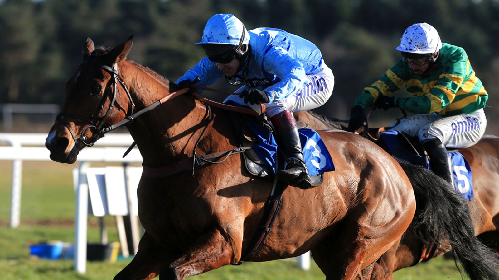 Racing UK's Richard Hoiles provides tips for the weekend's action at ...