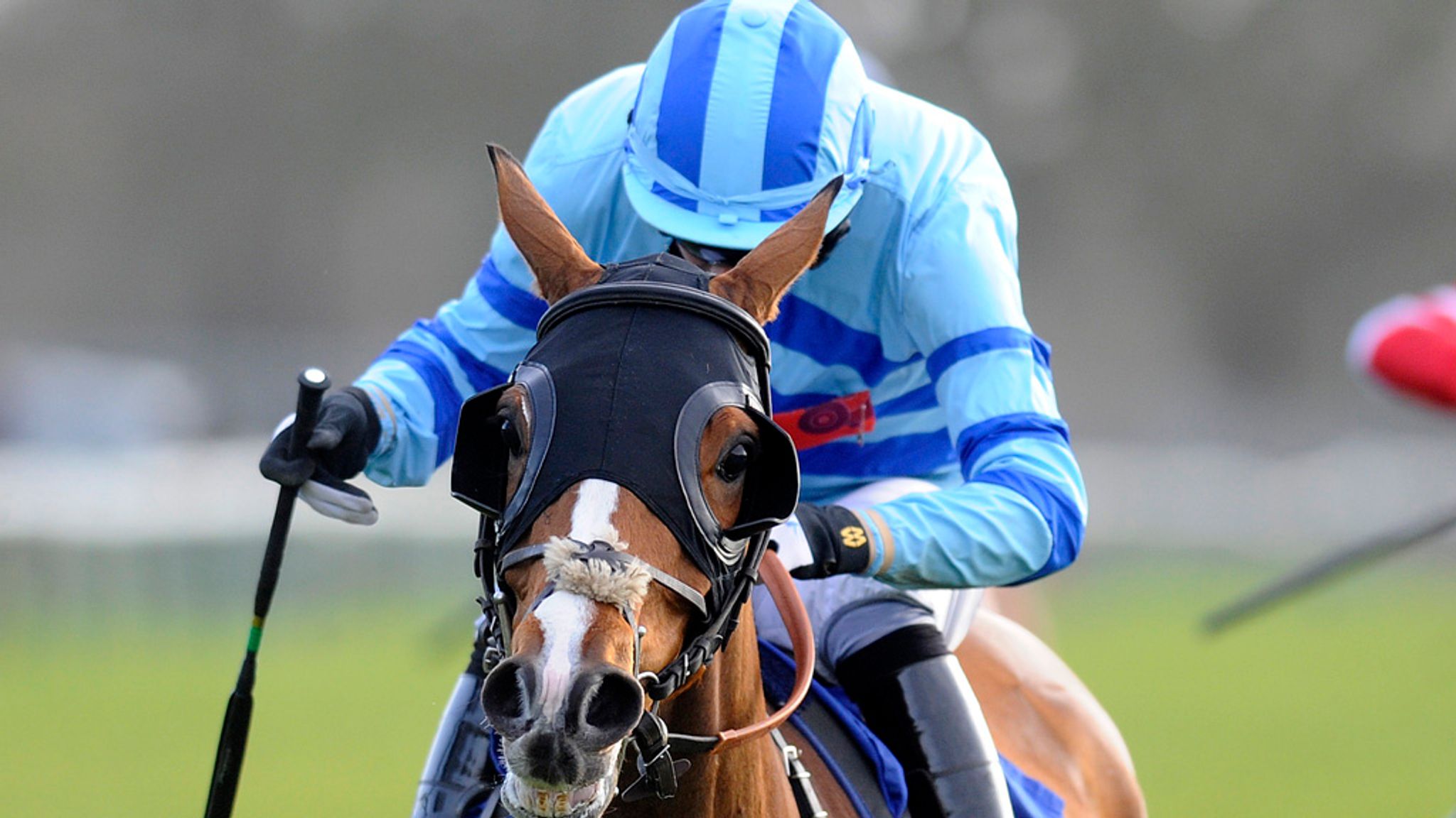 John Flint is looking at the big Festival meetings with Kayf Moss ...