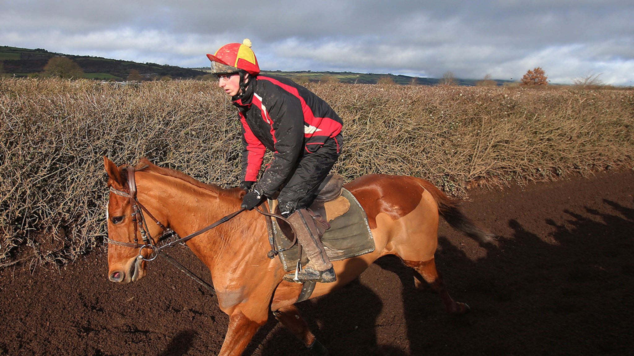 Willlie Mullins has yet to decide upon Annie Power's Cheltenham target ...