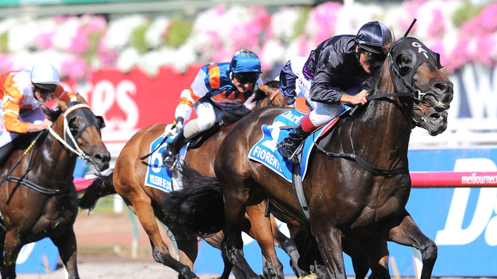 Injury forces retirement of last year's Melbourne Cup winner Fiorente ...