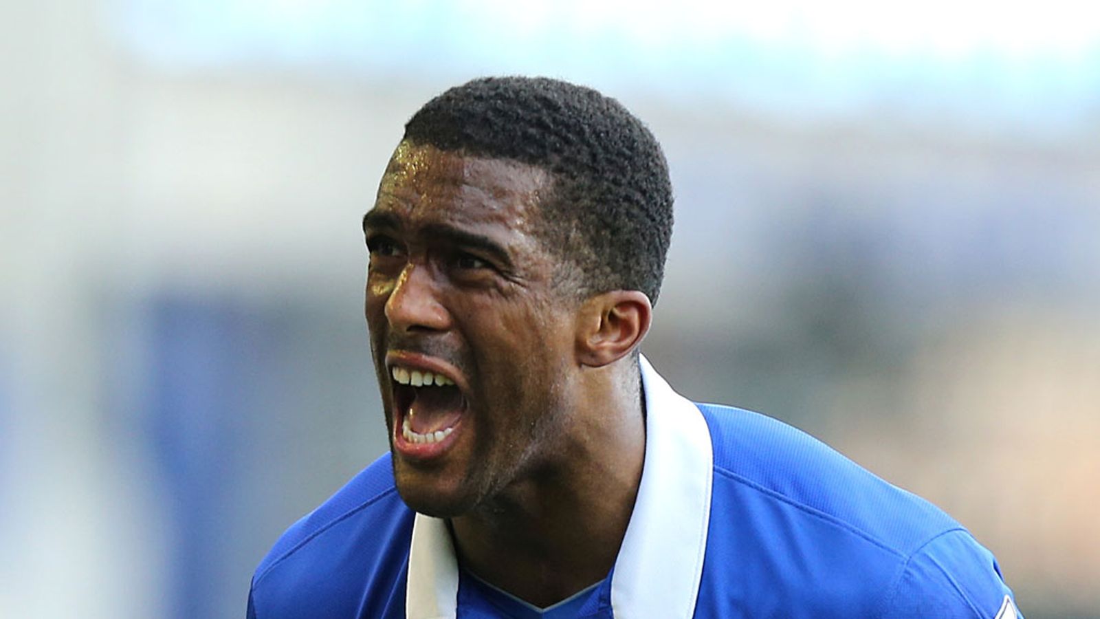 Everton's Sylvain Distin sets sights on top four despite 'mad ...