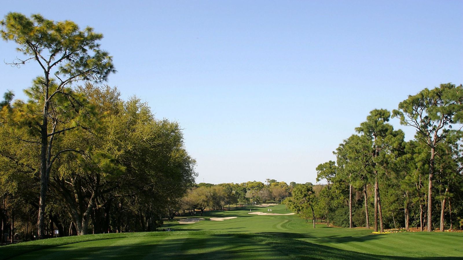 Valspar Champs guide | Golf News | Sky Sports