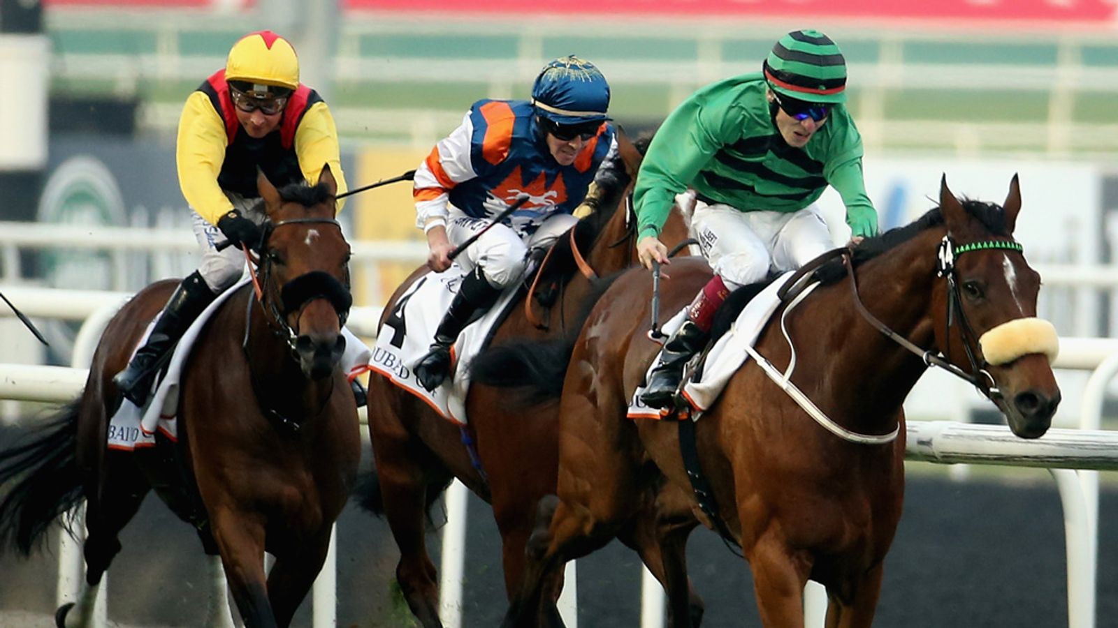 Ralston Road could head to France ahead of a tilt at the Ascot Gold Cup ...