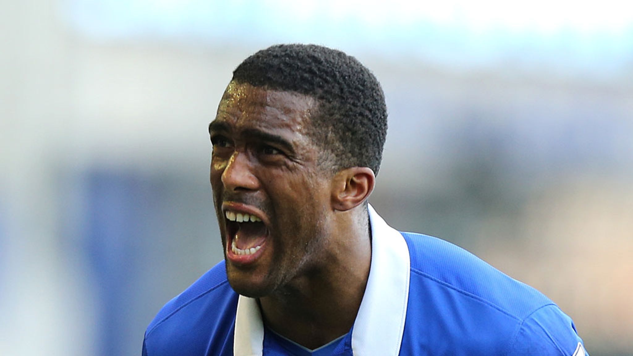 Premier League: Everton's Sylvain Distin could miss the rest of the ...