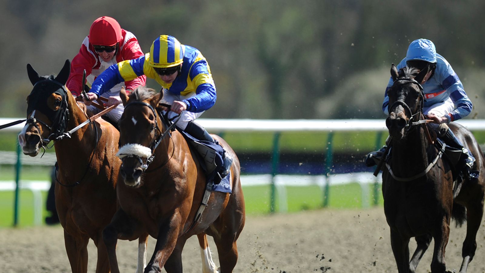 Glorious Empire a well-backed Lingfield winner for Ed Walker | Racing ...
