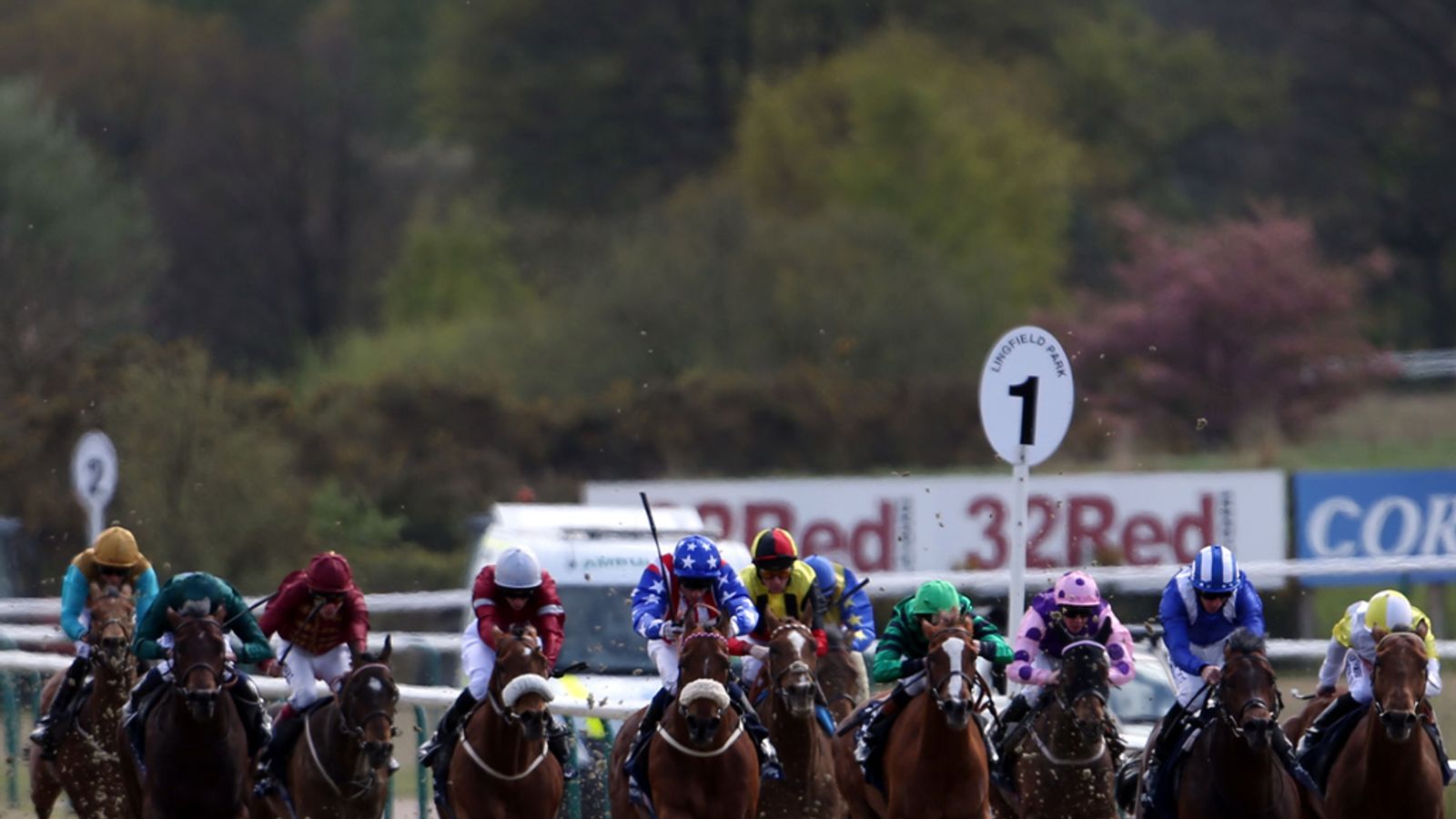 AW Finals day on Channel 4 | Racing News | Sky Sports