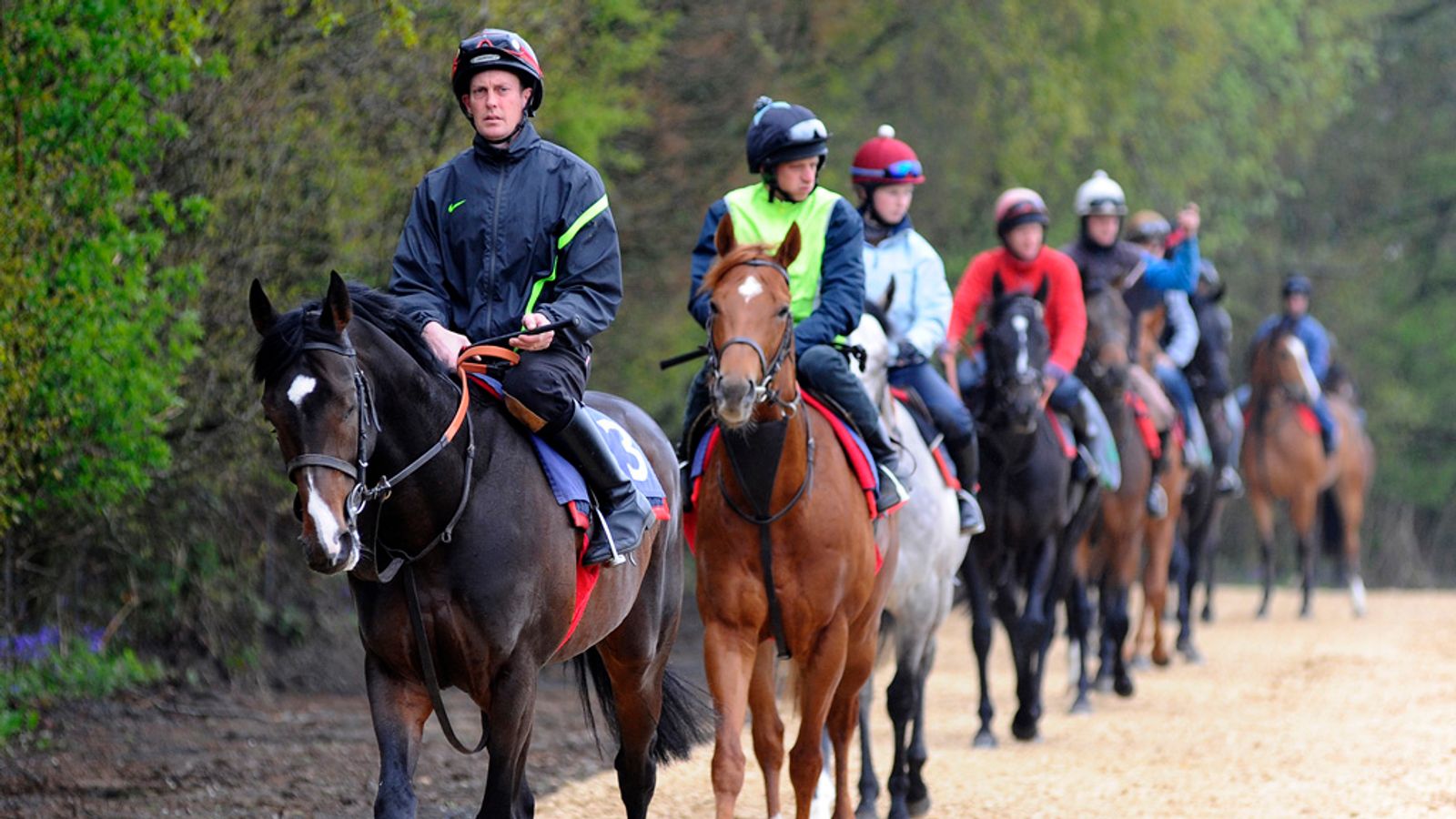 Toormore has been given a clean bill of health after his run in the ...