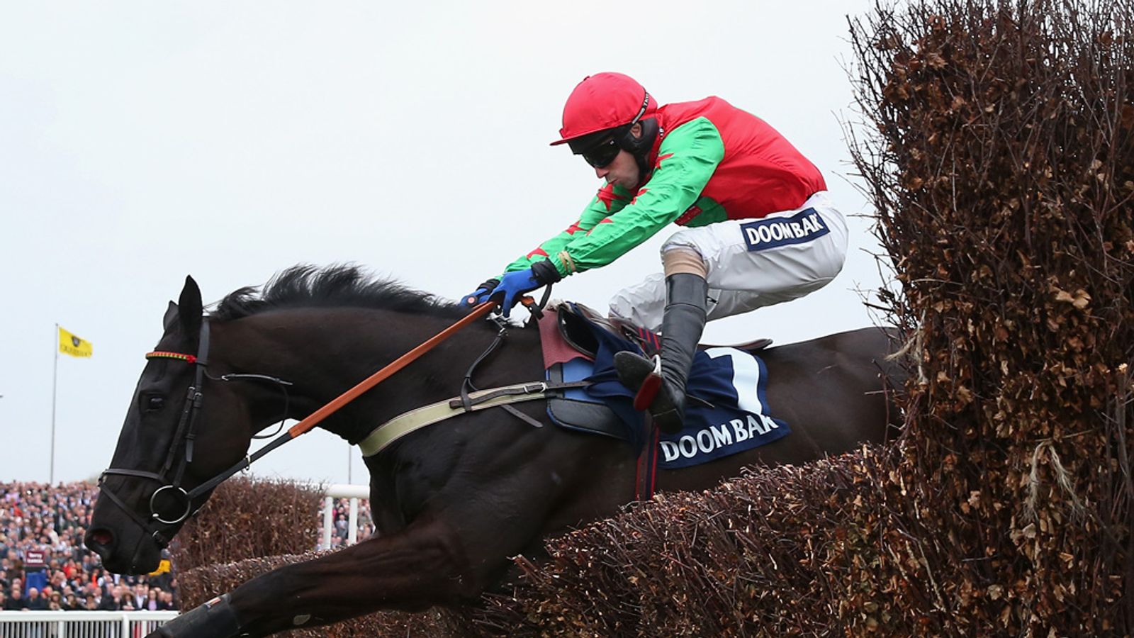 Alex Hammond: Back Balder for Kempton Succes | Racing News | Sky Sports