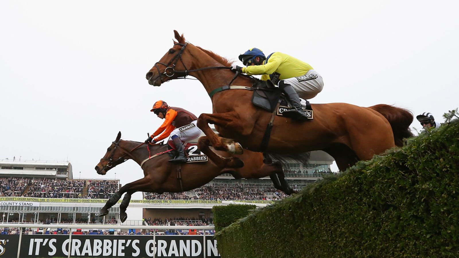 Mossey Joe ready for Cork run, reports trainer Enda Bolger | Racing ...