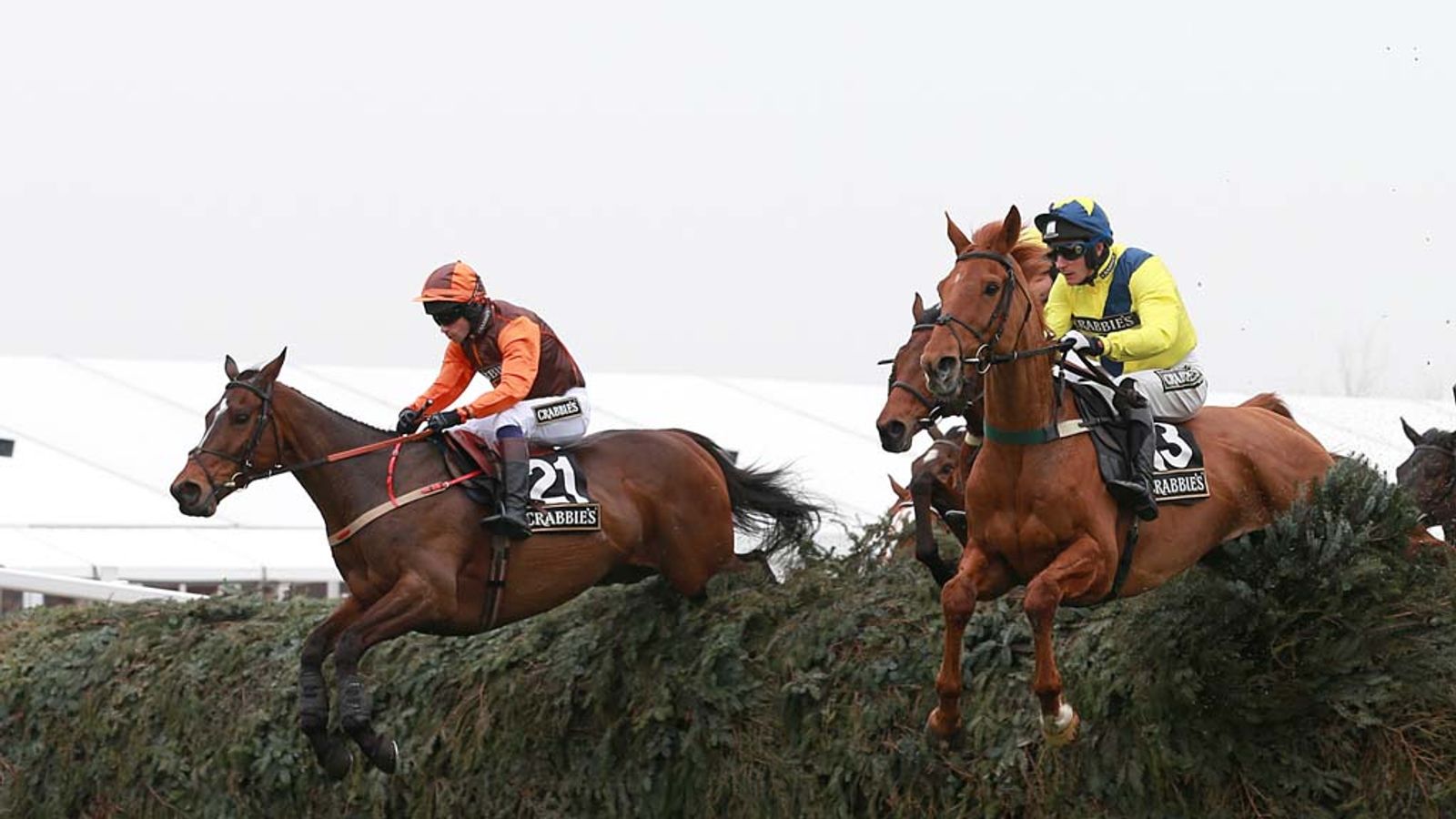 Mossey Joe could make an appearance at Cork on Monday | Racing News ...