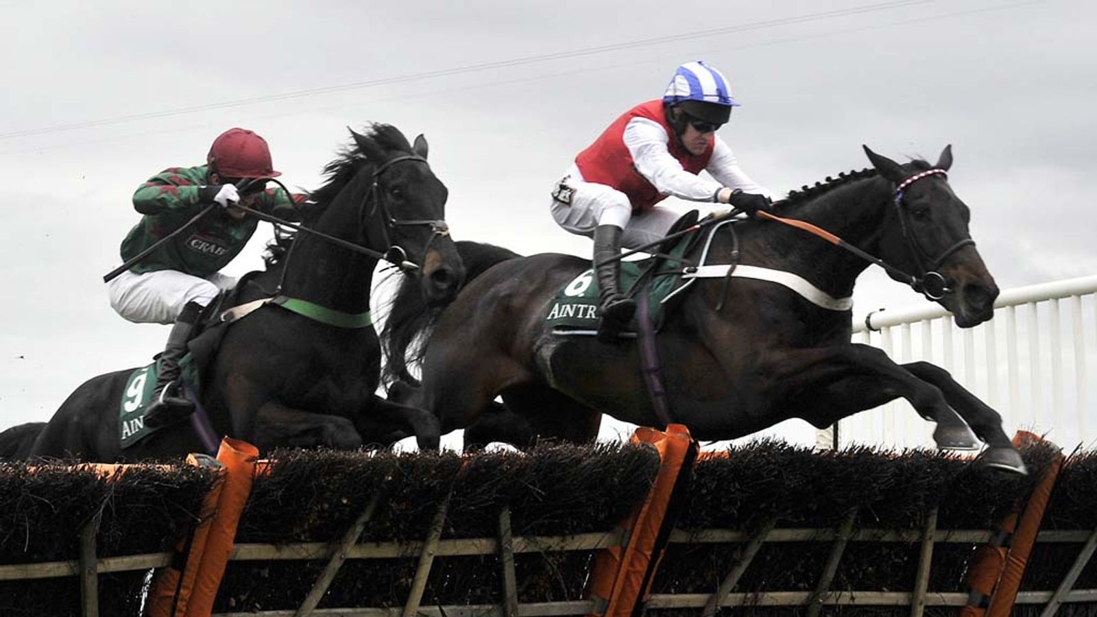 Gallops Report: Mick Channon | Racing News | Sky Sports
