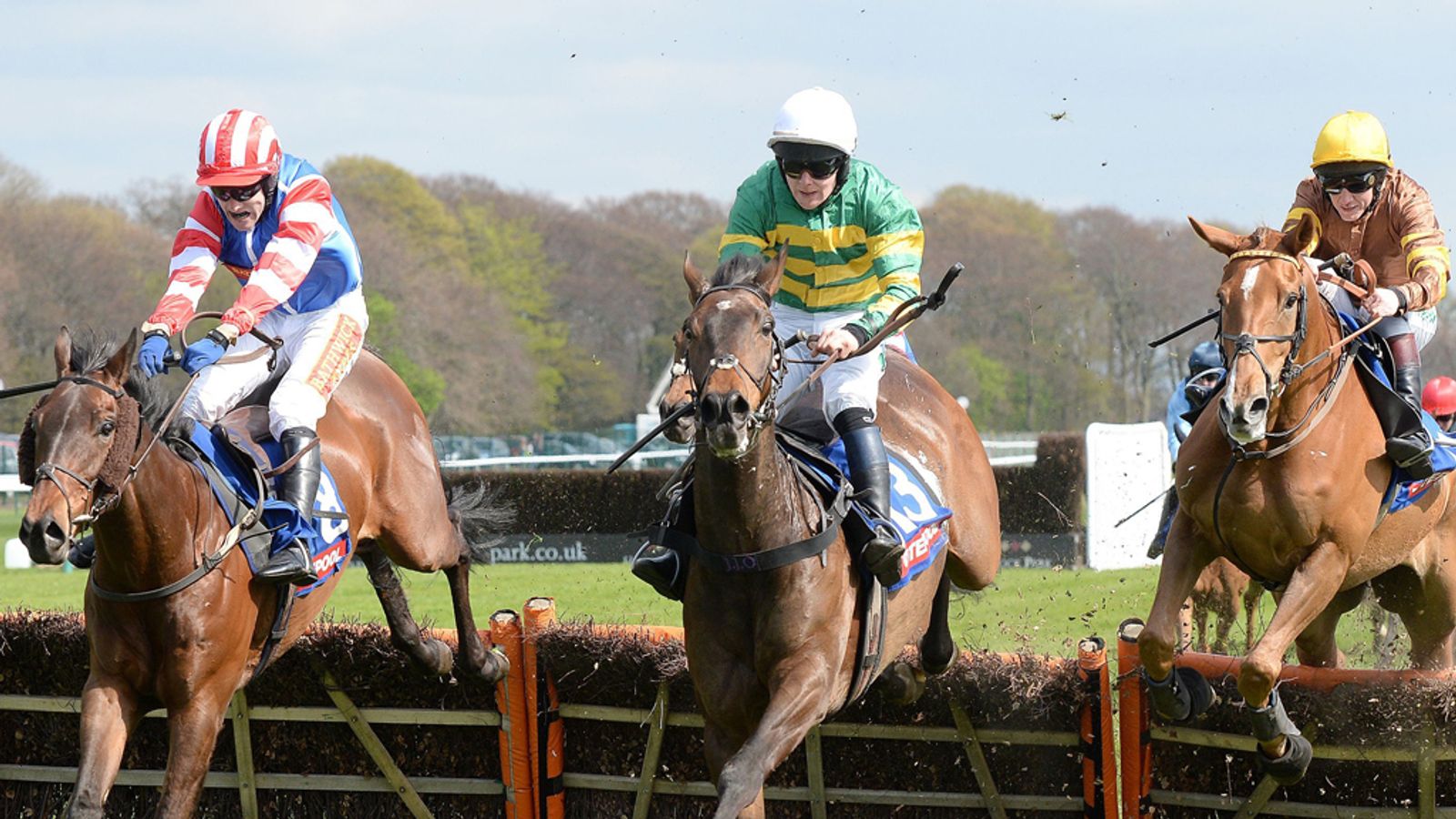 Carlton Jack landed a gamble when taking a decent pot at Haydock under ...