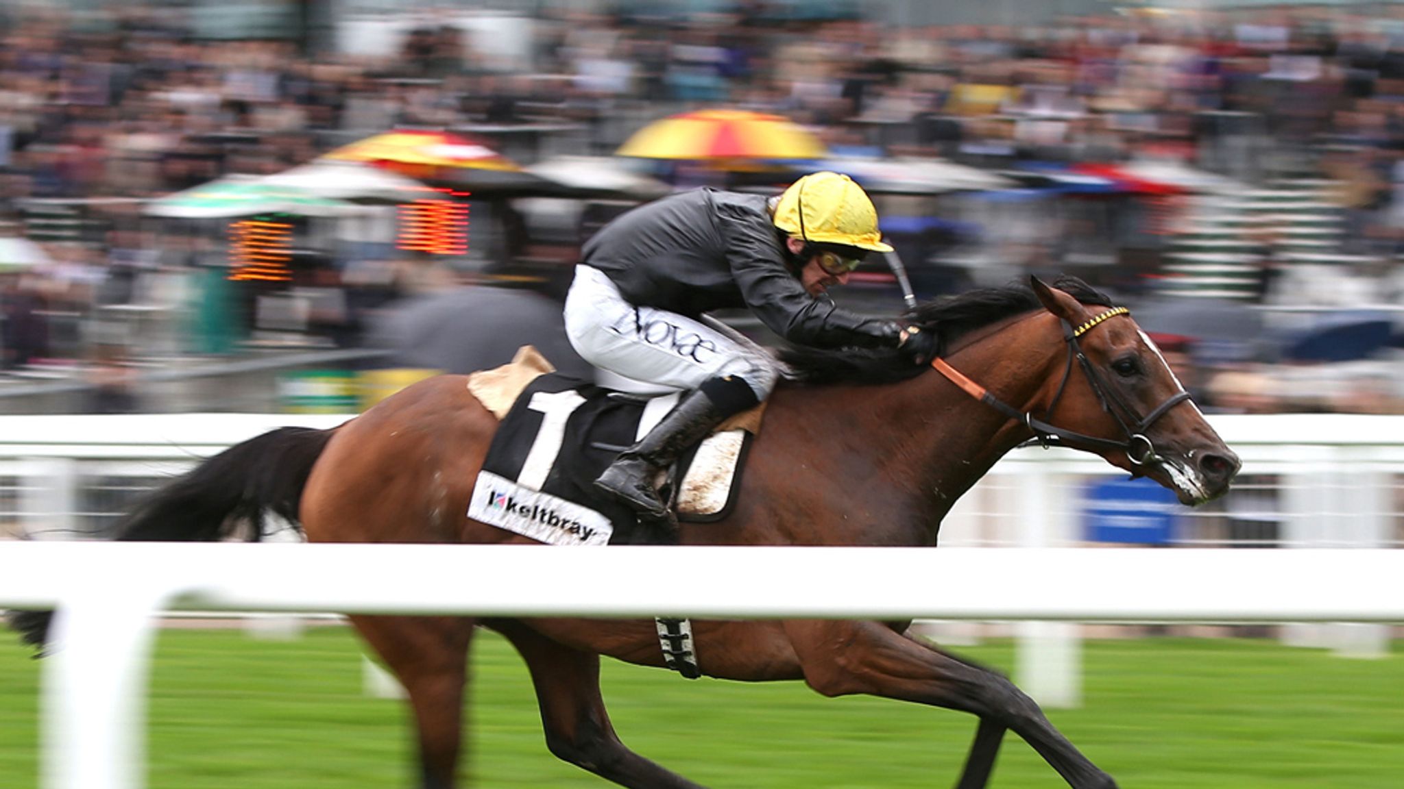 David Lanigan has high hopes for Flat season | Racing News | Sky Sports