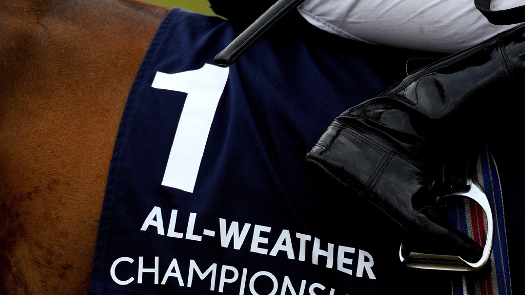 New category for all-weather championships | Racing News | Sky Sports