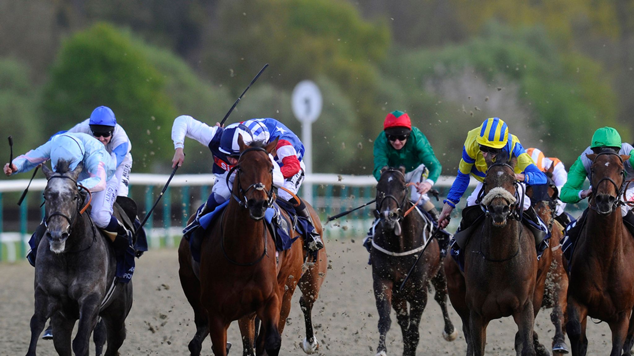 High-class field for Winter Derby | Racing News | Sky Sports