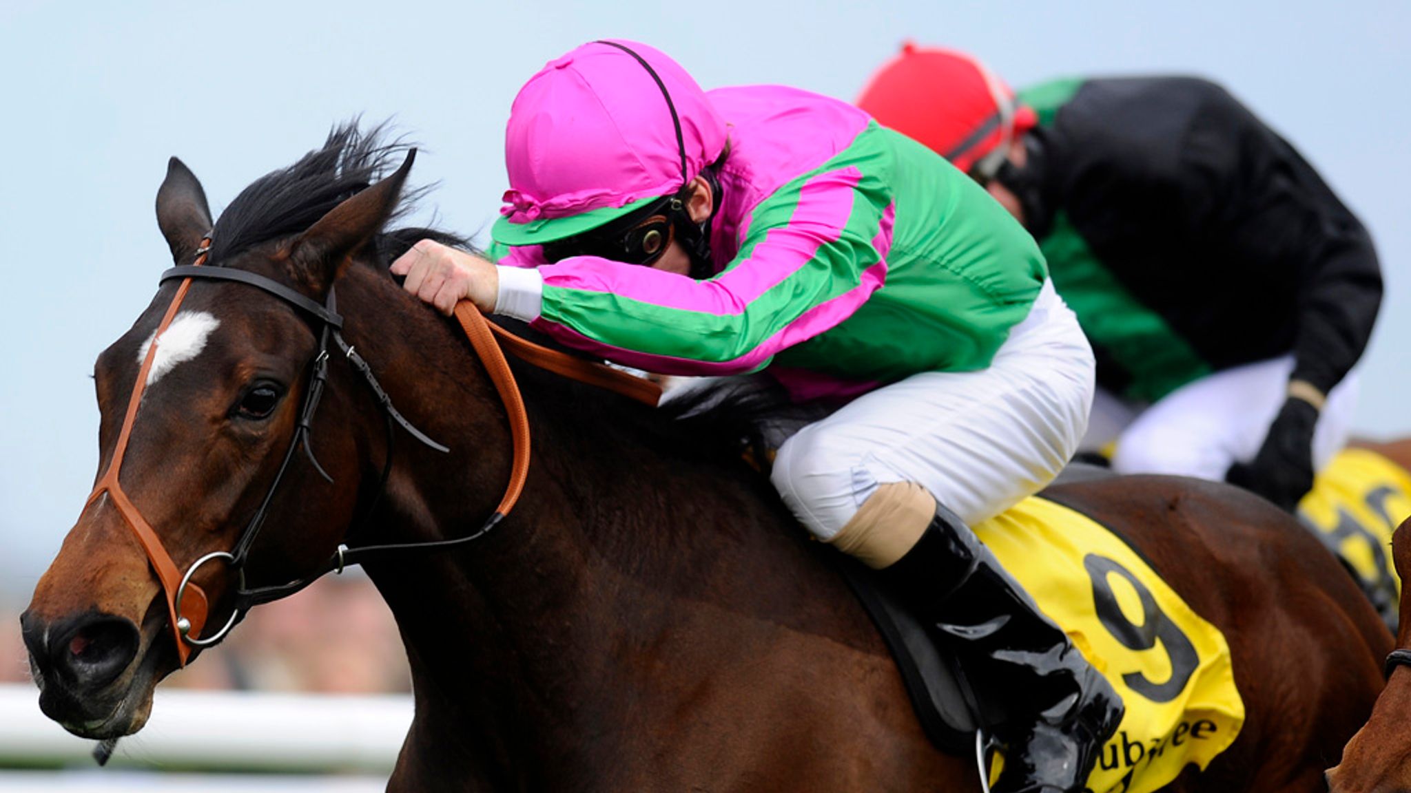 J Wonder in Newmarket frame | Racing News | Sky Sports