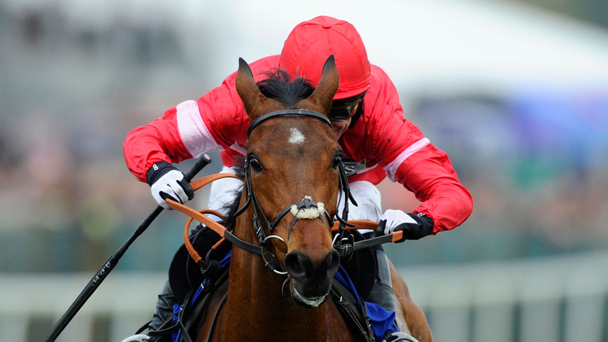 Lac Fontana sold to Axom Racehorse Syndicates | Racing News | Sky Sports