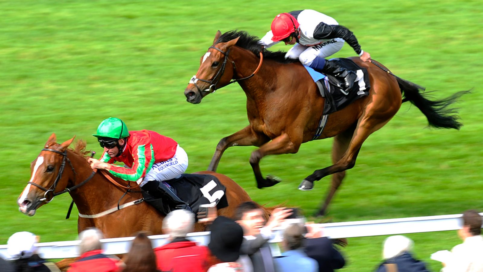 A review of the action from Goodwood where Marsh Daisy won the feature ...