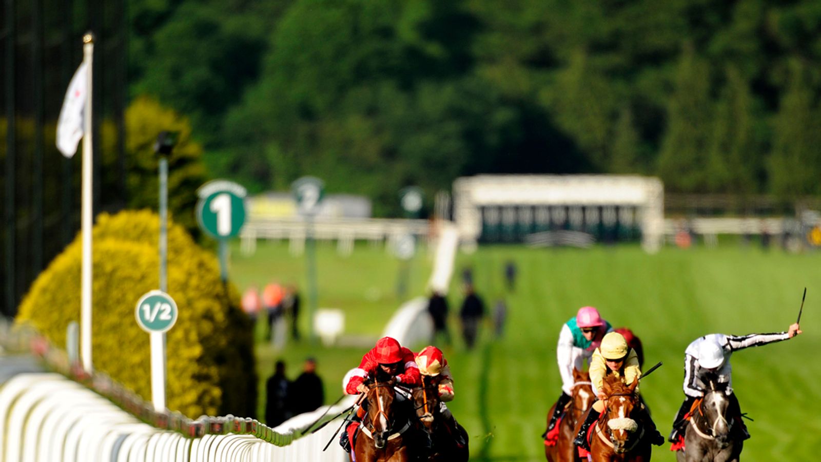 Tiggy Wiggy is National winner | Racing News | Sky Sports