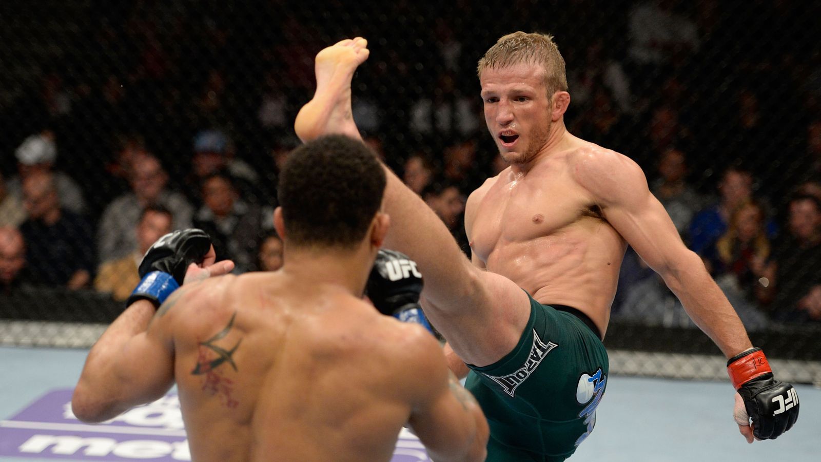 UFC 177: TJ Dillashaw stops late replacement Joe Soto in fifth round in ...