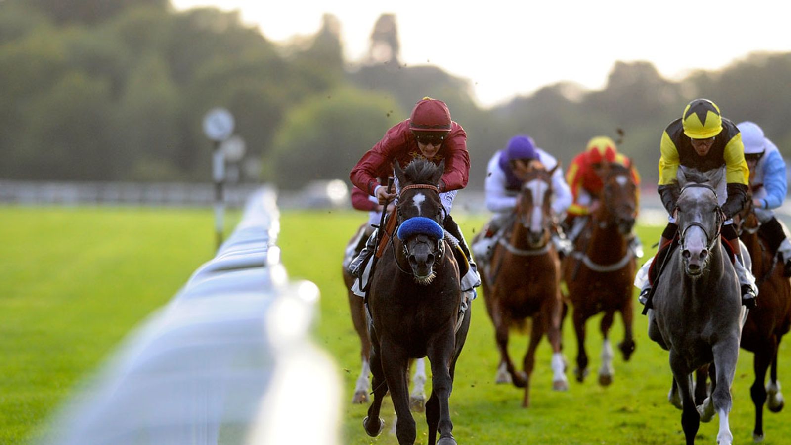 Windsor abandonment sees owners take action | Racing News | Sky Sports