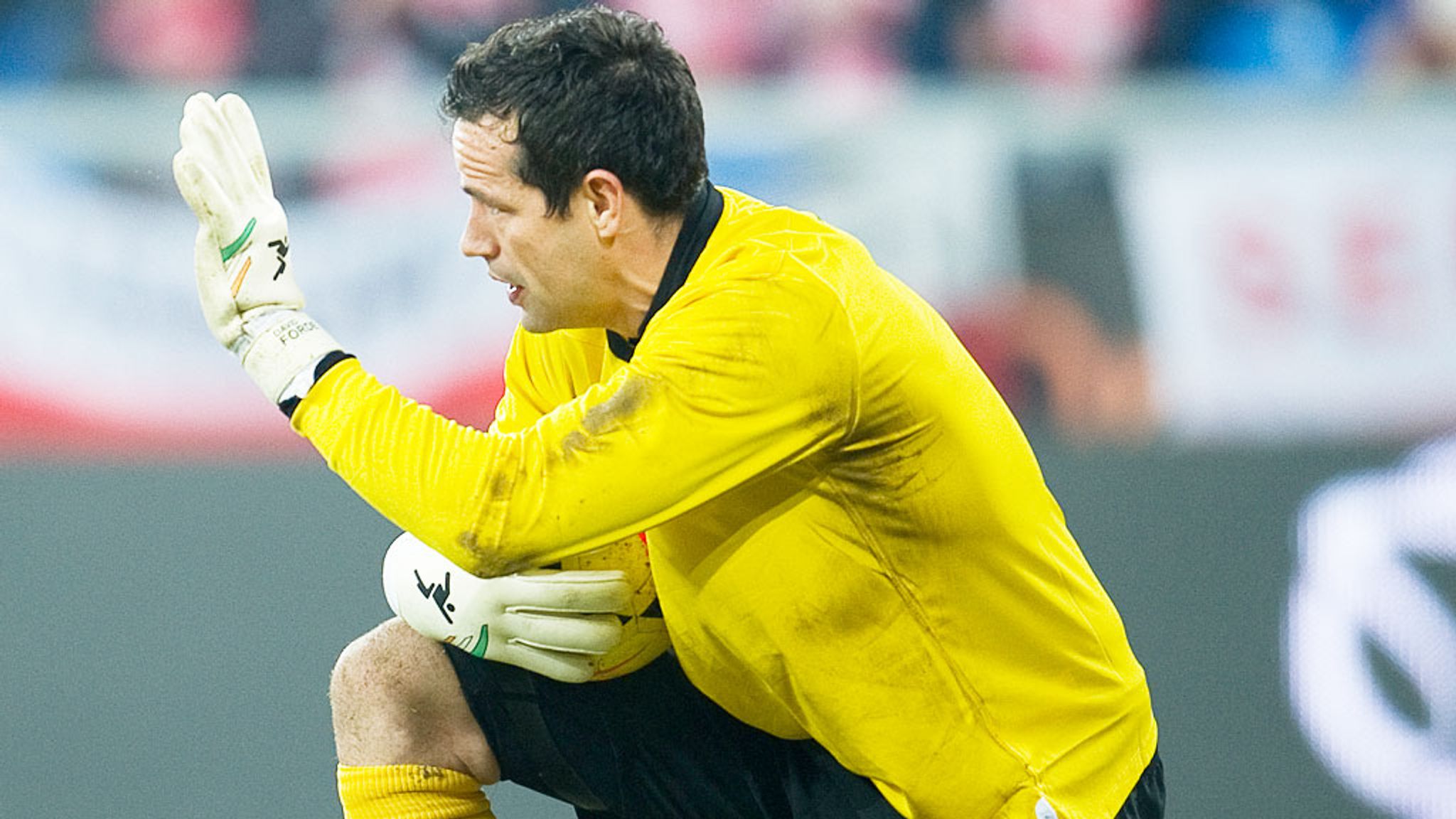 Ireland goalkeeper David Forde looking forward to facing Italy again ...