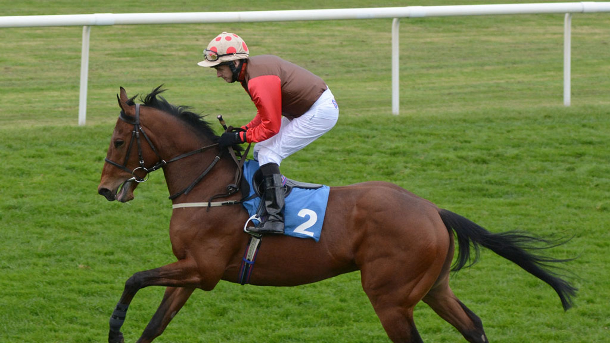 Richard Fahey with a horse by horse guide to his Saturday runners ...